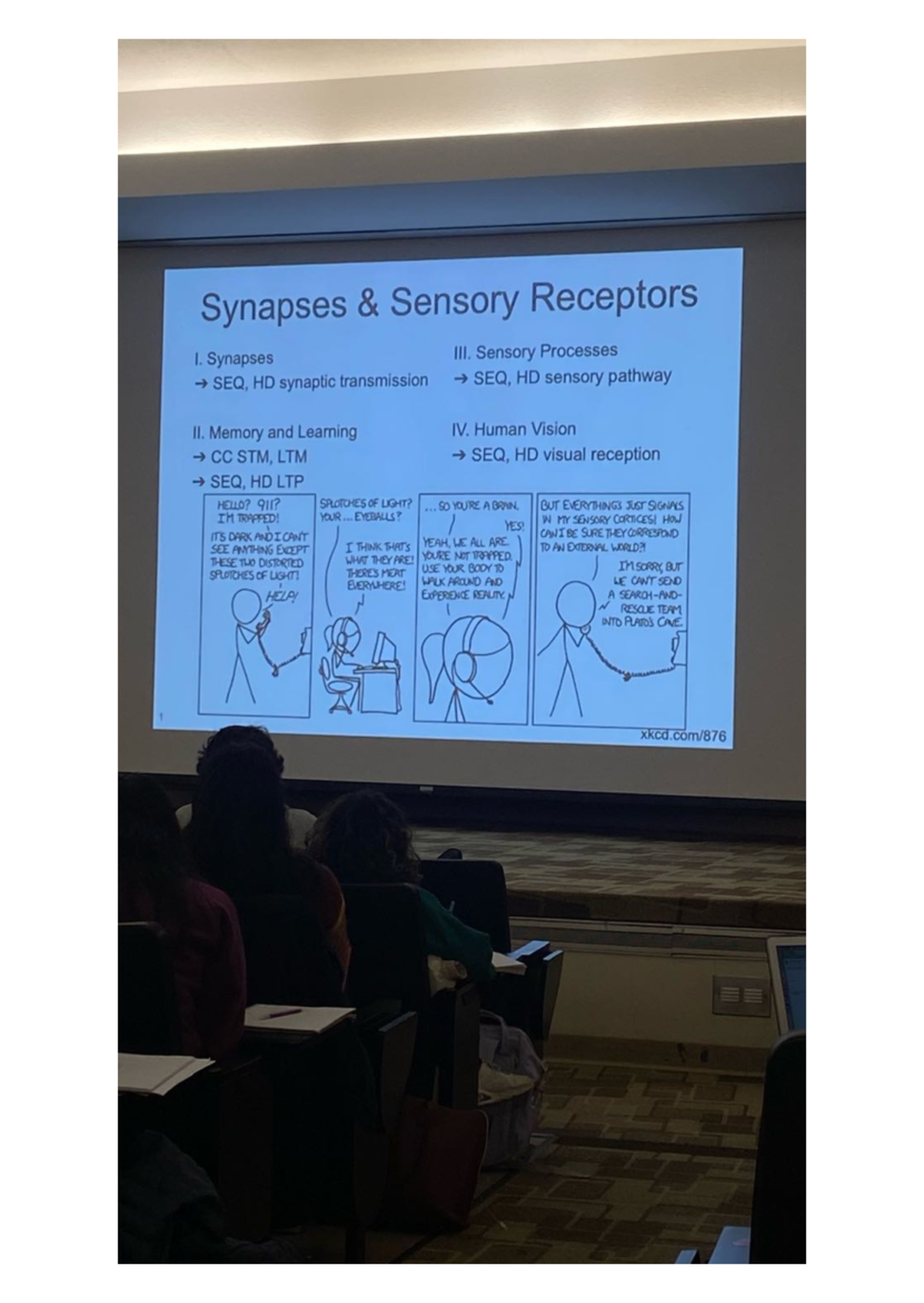 Synapses & Sensory Receptors - BIO 102 - Studocu