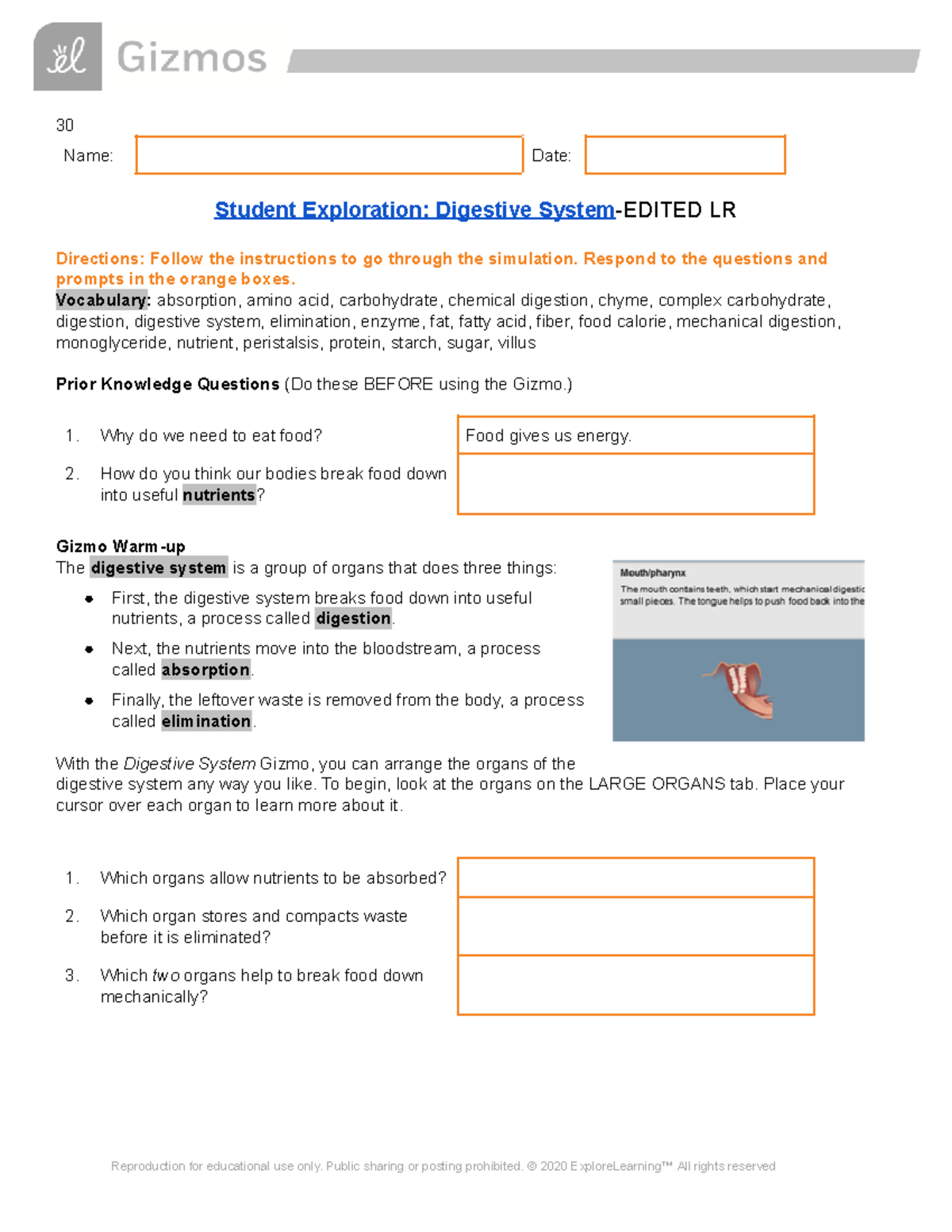 Digestive System Student Worksheet-LR - 30 Name: Date: Student ...