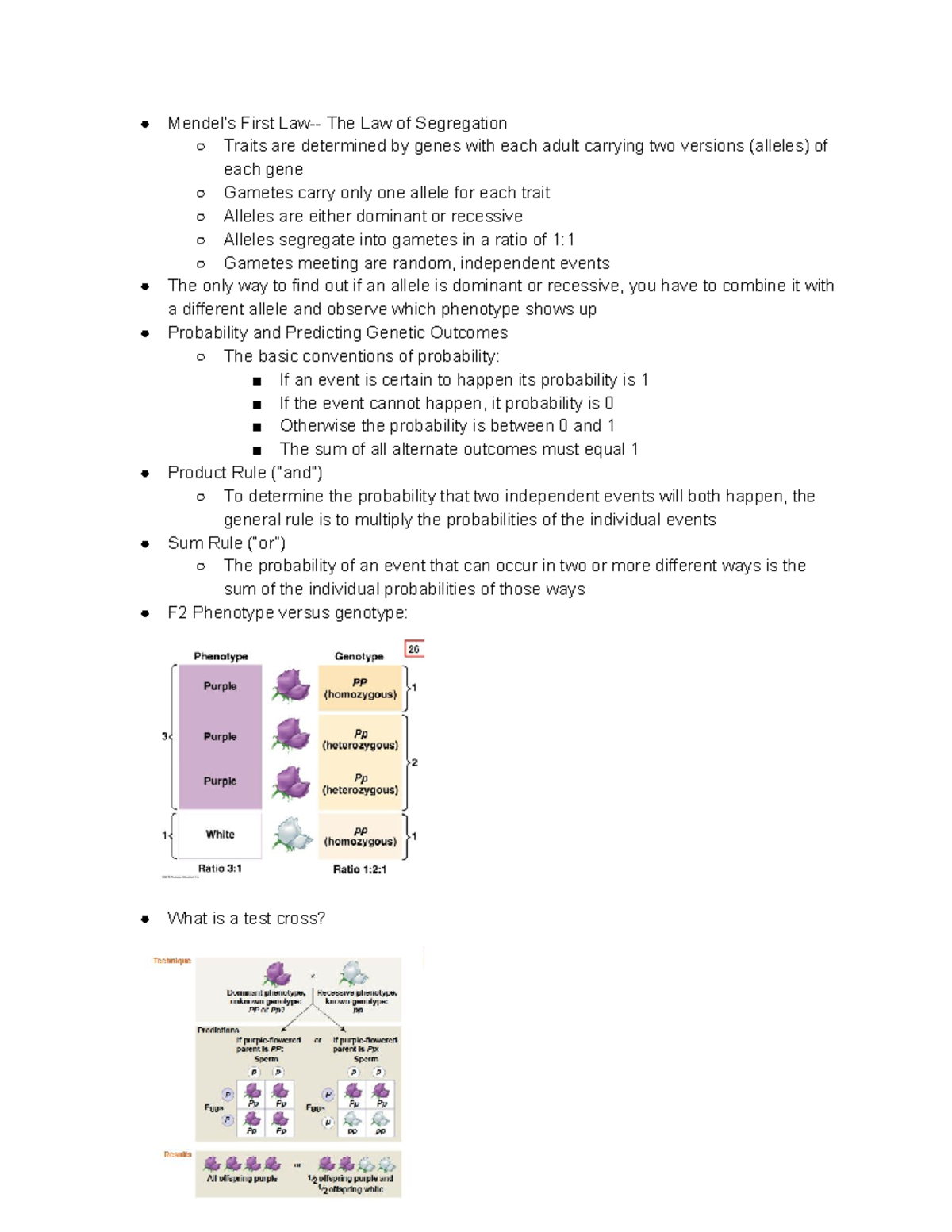 Bio Notes (Genetics) - Mendel’s First Law- The Law of Segregation ...