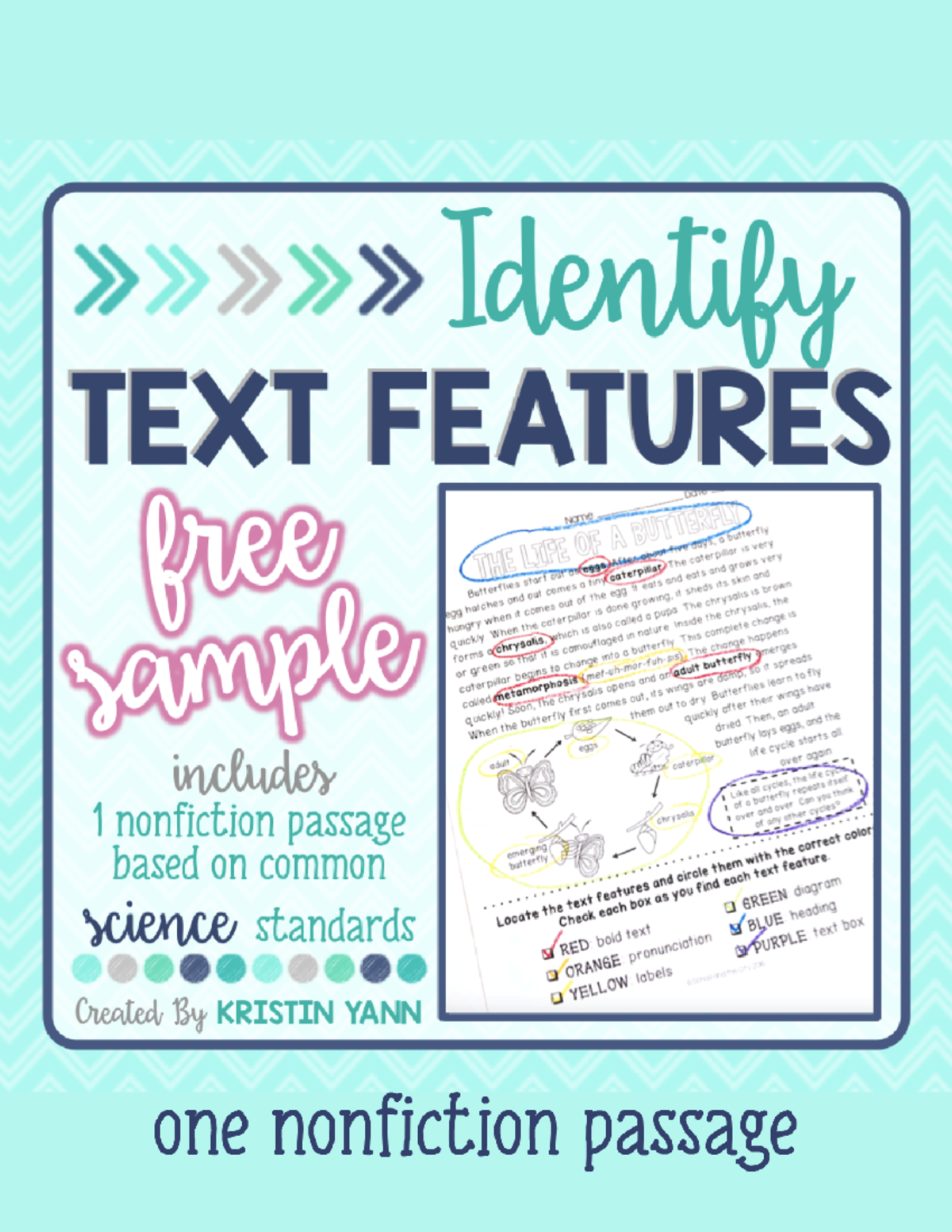 Nonfiction Text Features Identification Butterfly Life Cycle-2 - EDUC ...