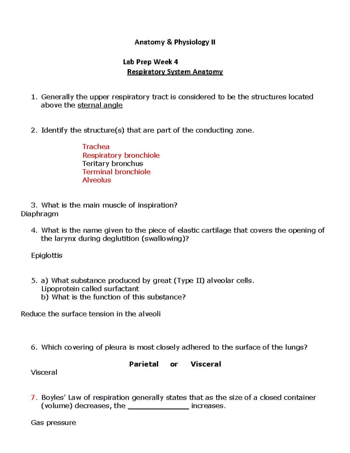 Lab Prep A- Respiratory Anatomy copy - Anatomy & Physiology II Lab Prep ...