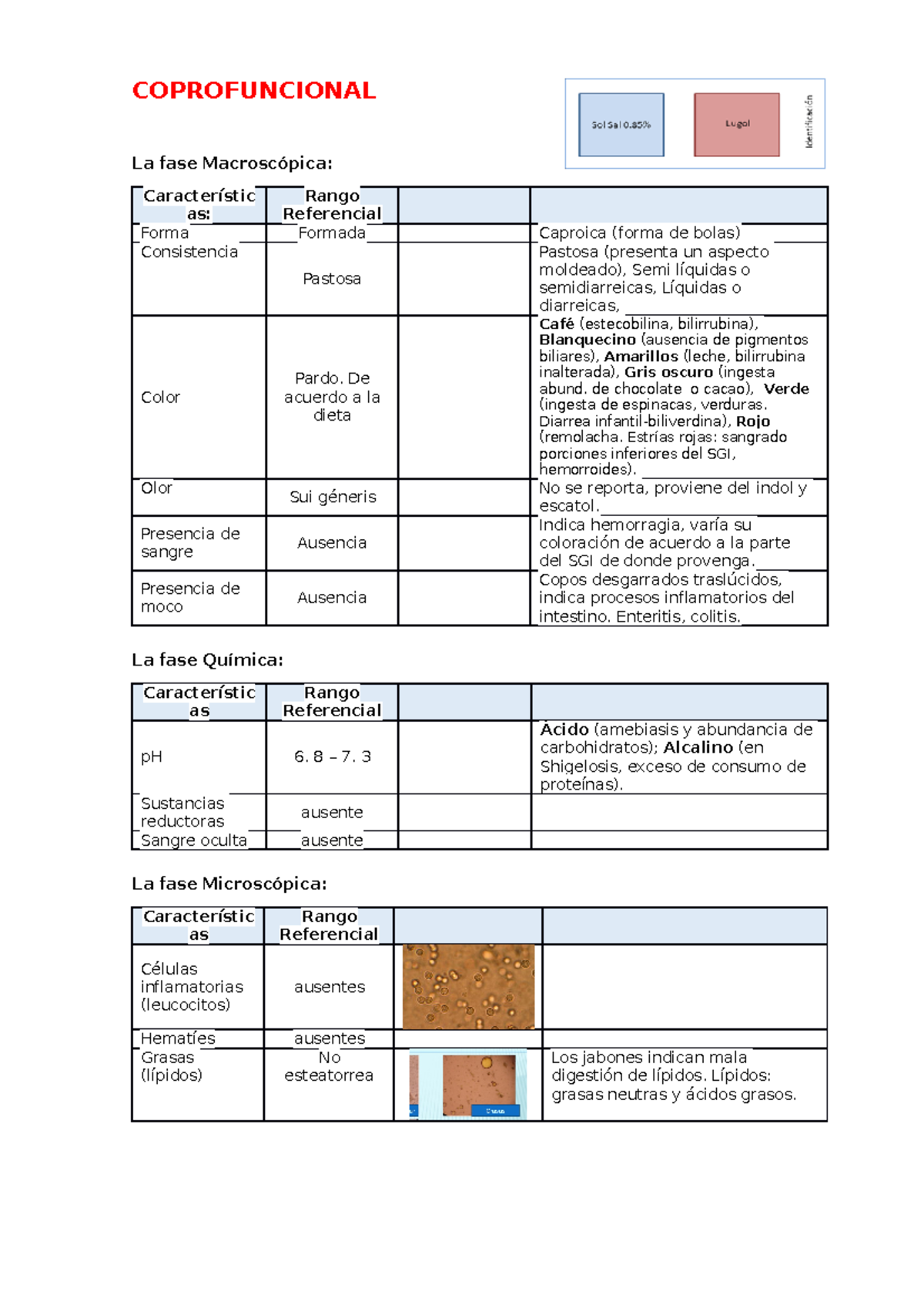 Copro-Funcional - PARASITOLOGÍA MEDICA - UNSAAC - Studocu