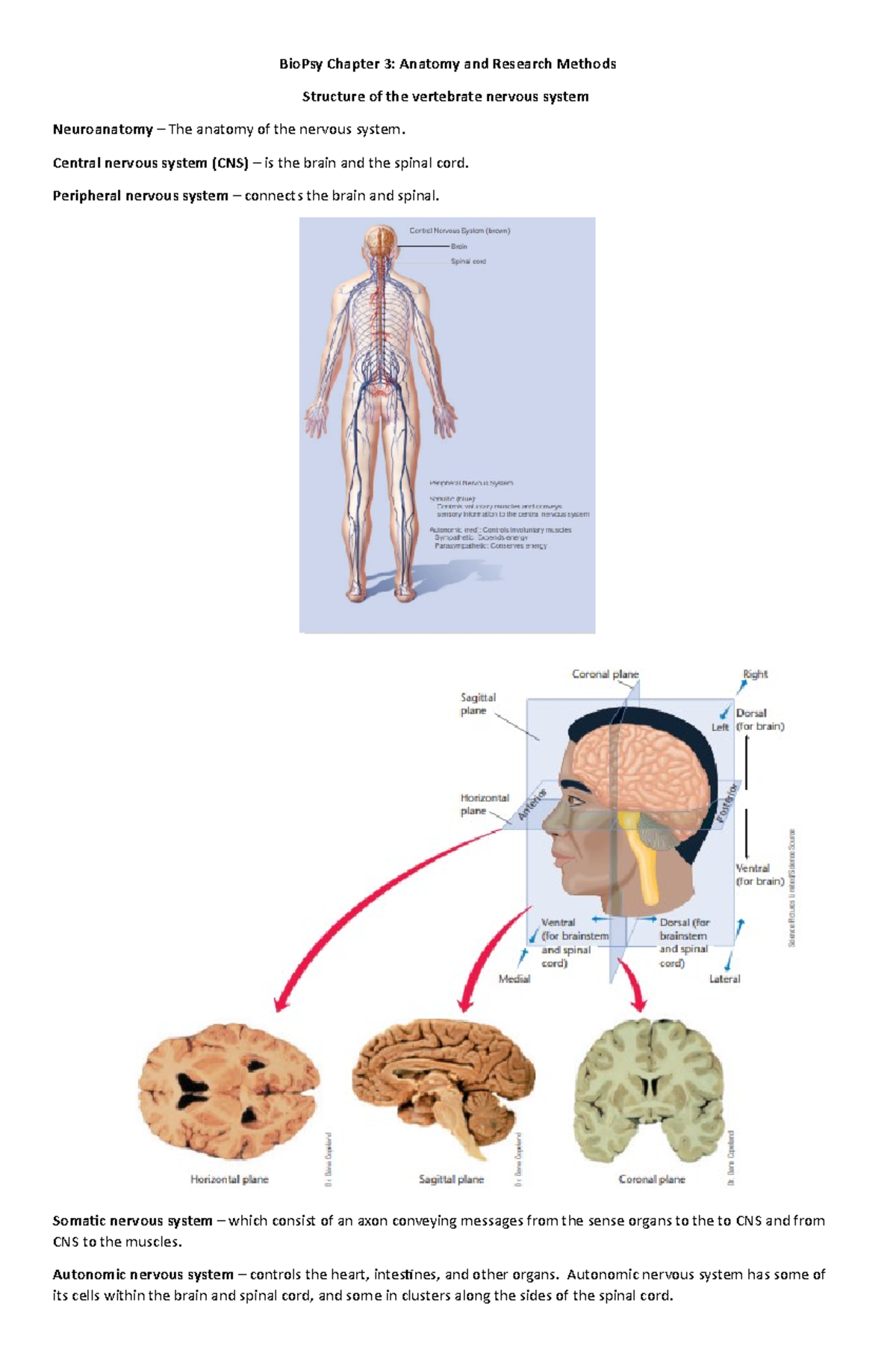 Chapter 3 Definition of Terms: Anatomy and Research Methods - BioPsy ...