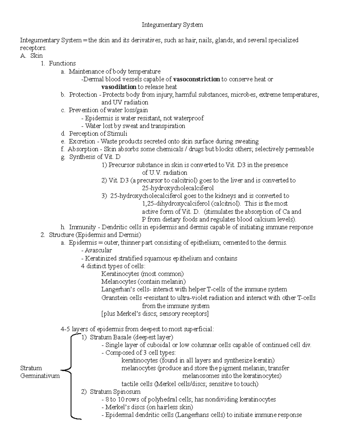 Copy of Guided Student Lect Notes Integument - Integumentary System ...