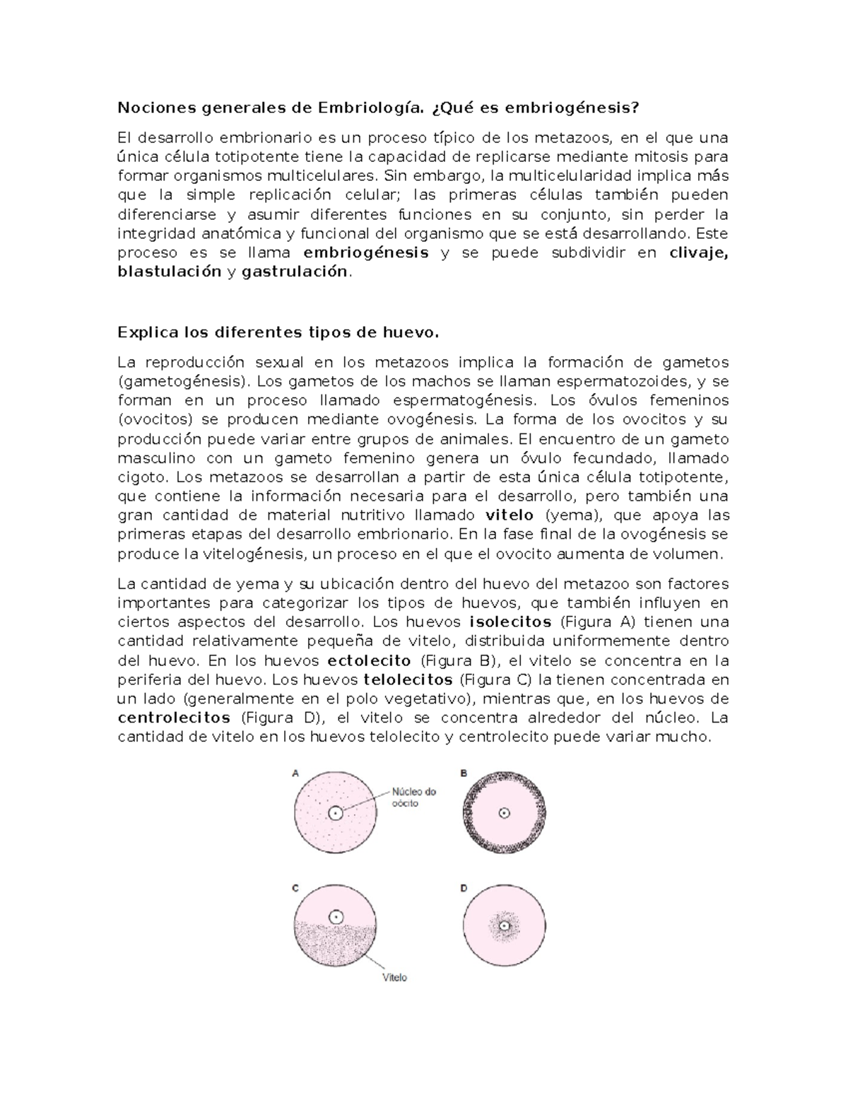 Unidad 1. embriogenesis - Nociones generales de Embriología. ¿Qué es ...