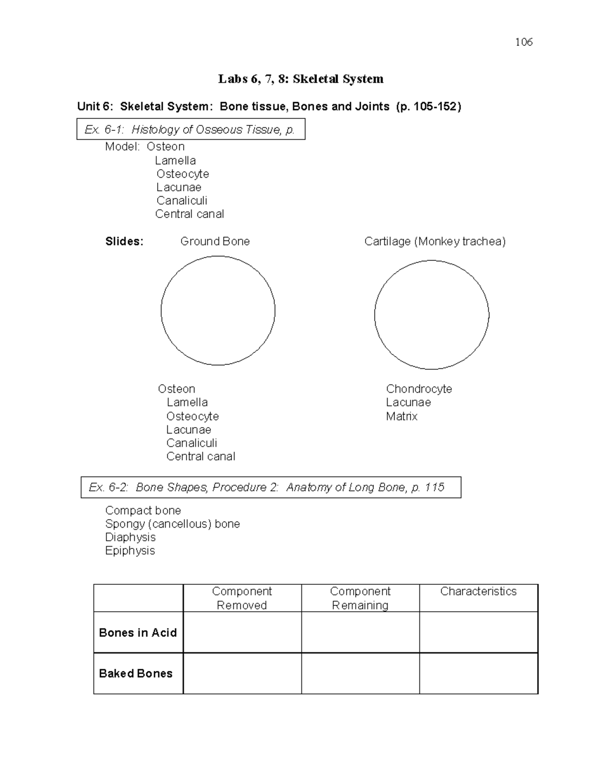 Skeletal lab - Labs 6, 7, 8: Skeletal System Unit 6: Skeletal System ...