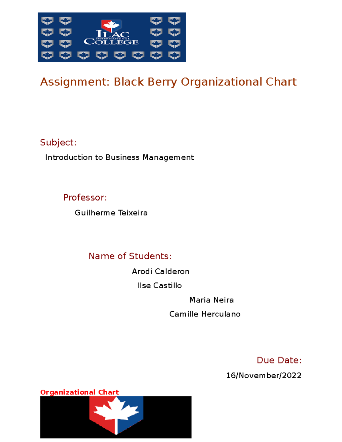 BB Organizational Chart - Assignment: Black Berry Organizational Chart ...