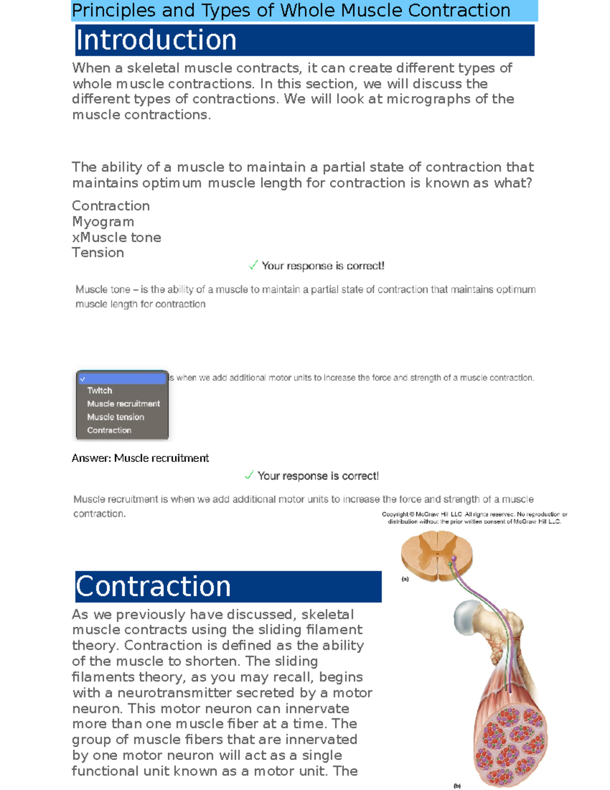 Principles and Types of Whole Muscle Contraction - Principles and Types ...