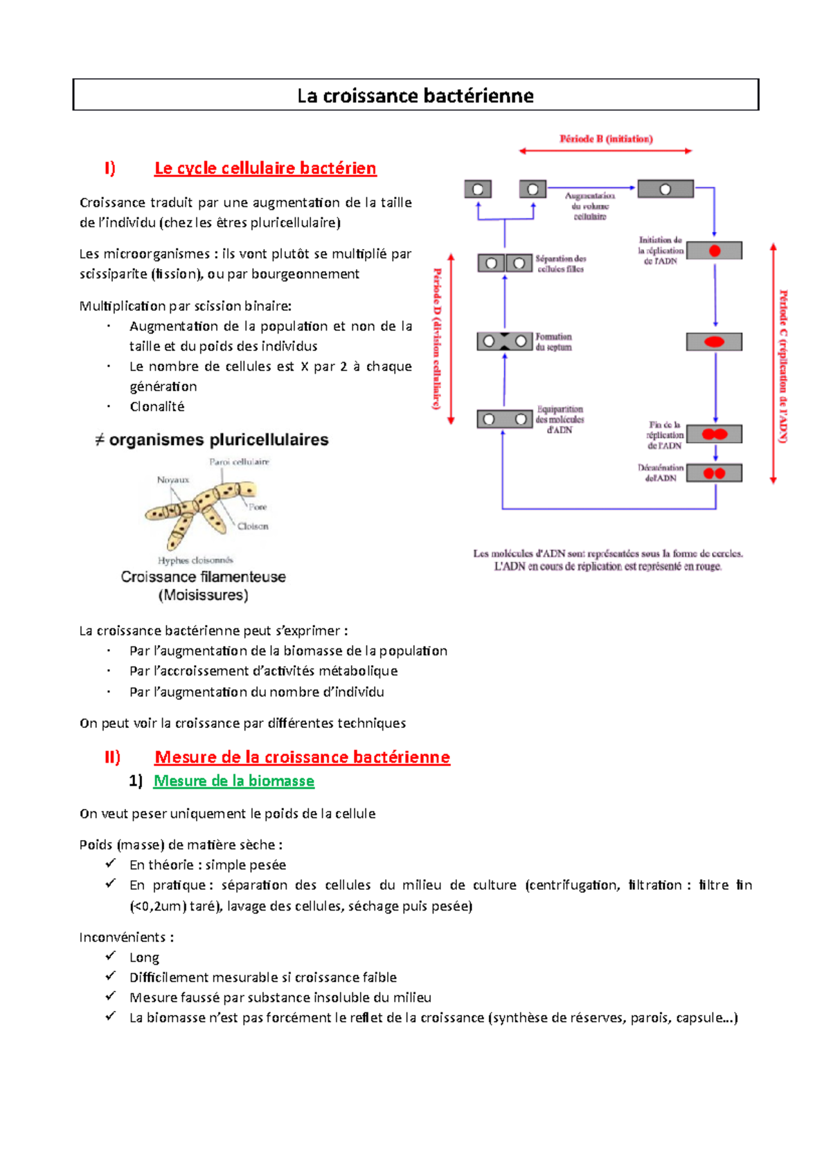 La croissance bactérienne - La croissance bactérienne I) Le cycle ...