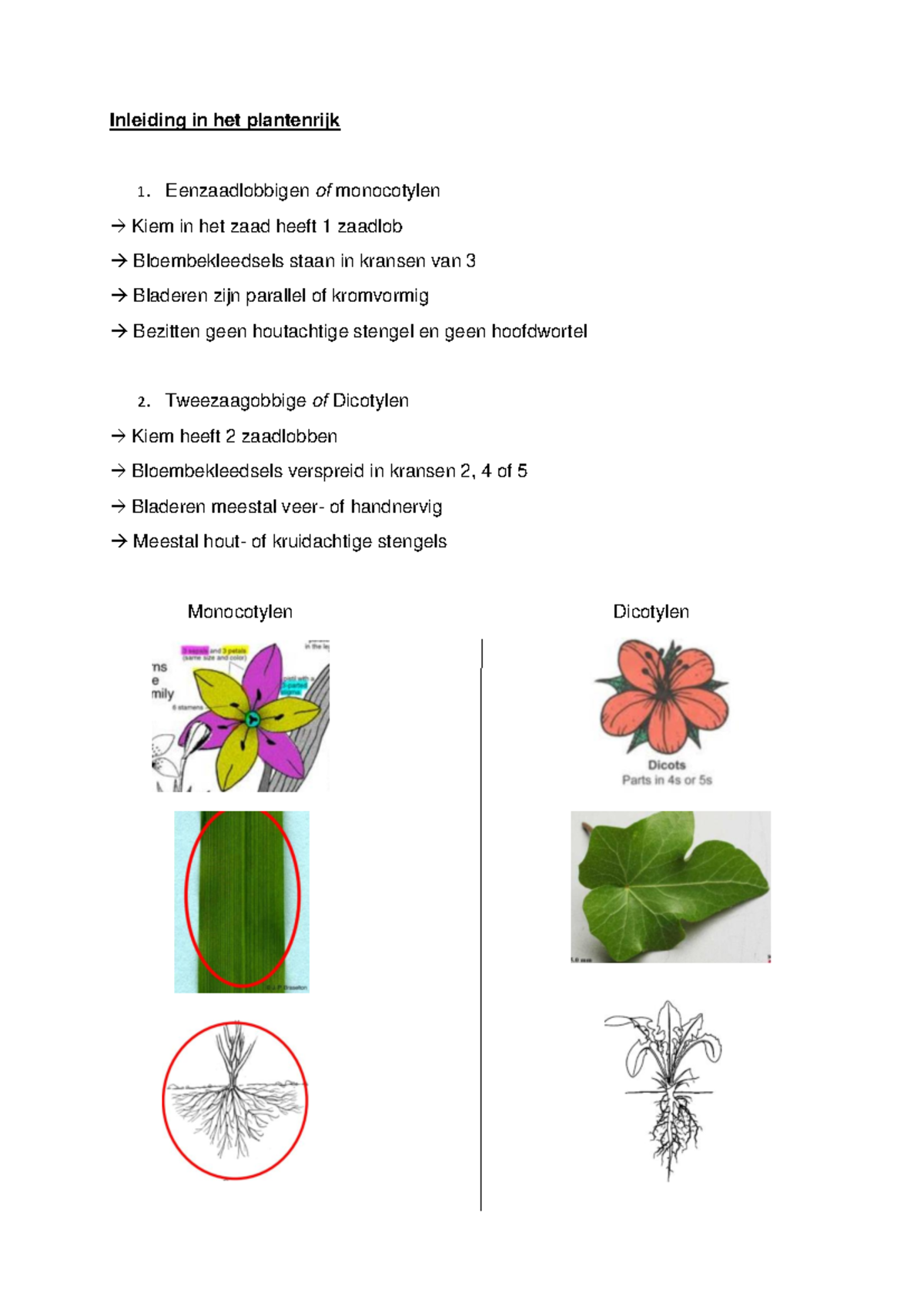Monocotylen - Klaar - Inleiding in het plantenrijk 1. Eenzaadlobbigen ...