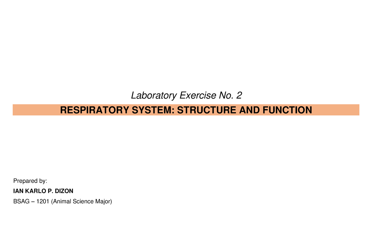 Dizon Respiratory- System - Laboratory Exercise No. 2 RESPIRATORY ...