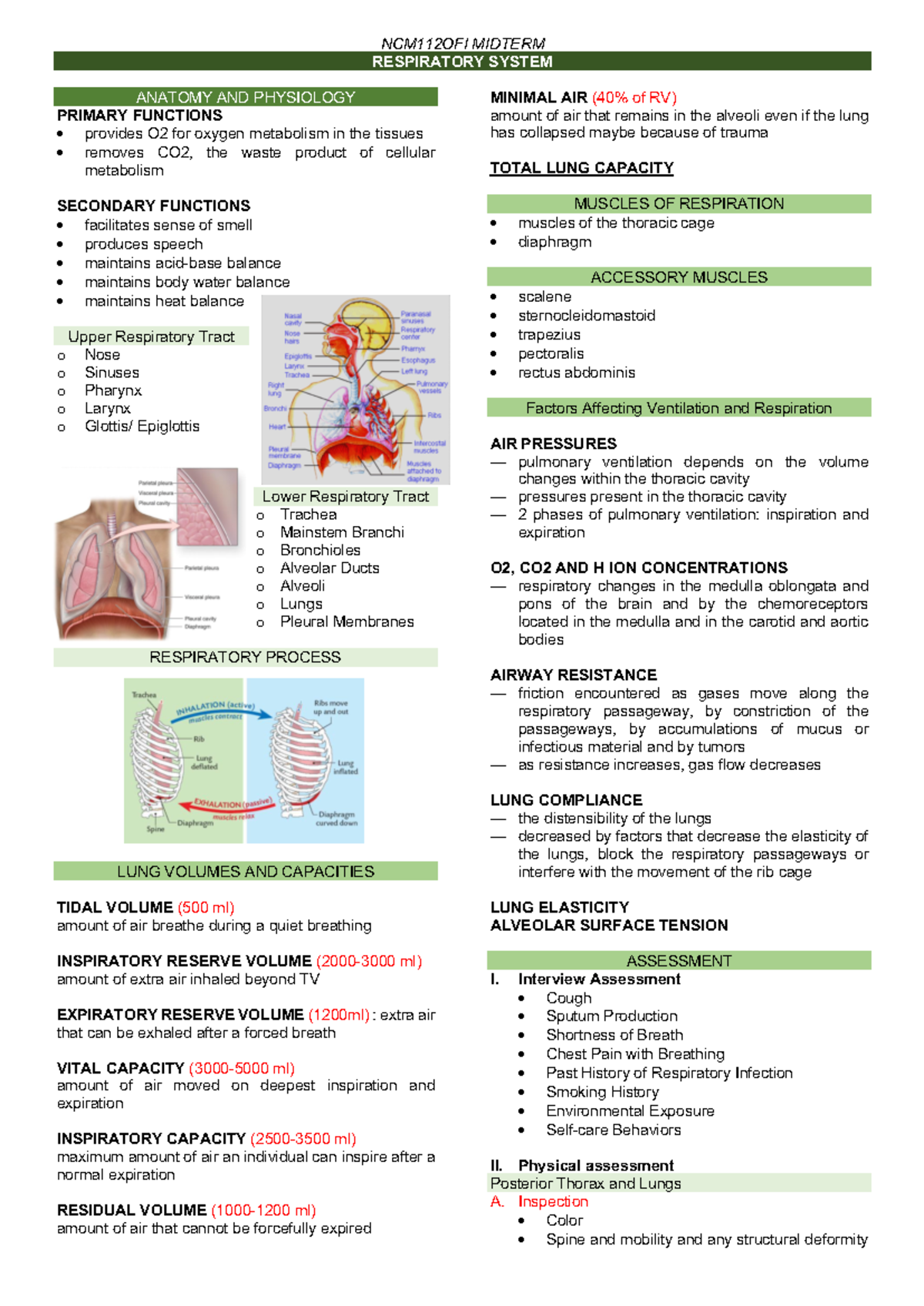 OFI - Respiratory Reviewer - NCM112OFI MIDTERM RESPIRATORY SYSTEM ...