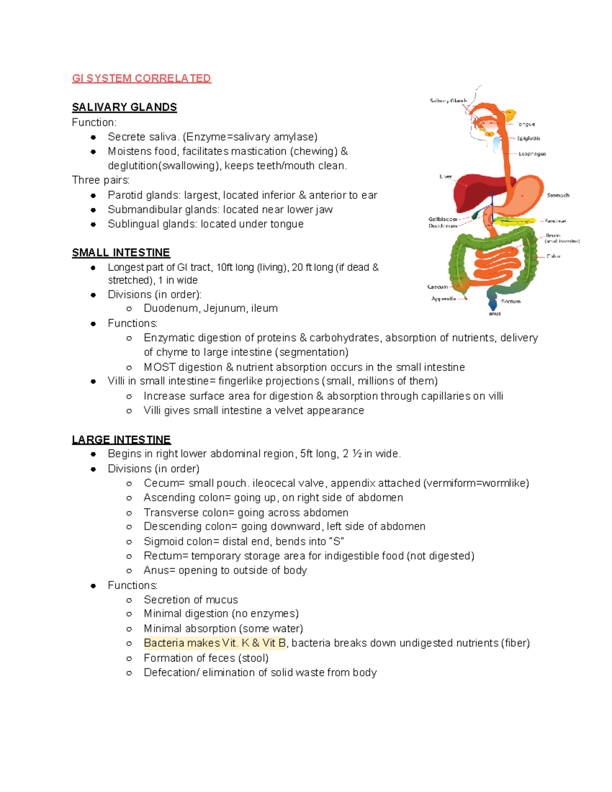 GI Correlated - Study by due - GI SYSTEM CORRELATED SALIVARY GLANDS ...