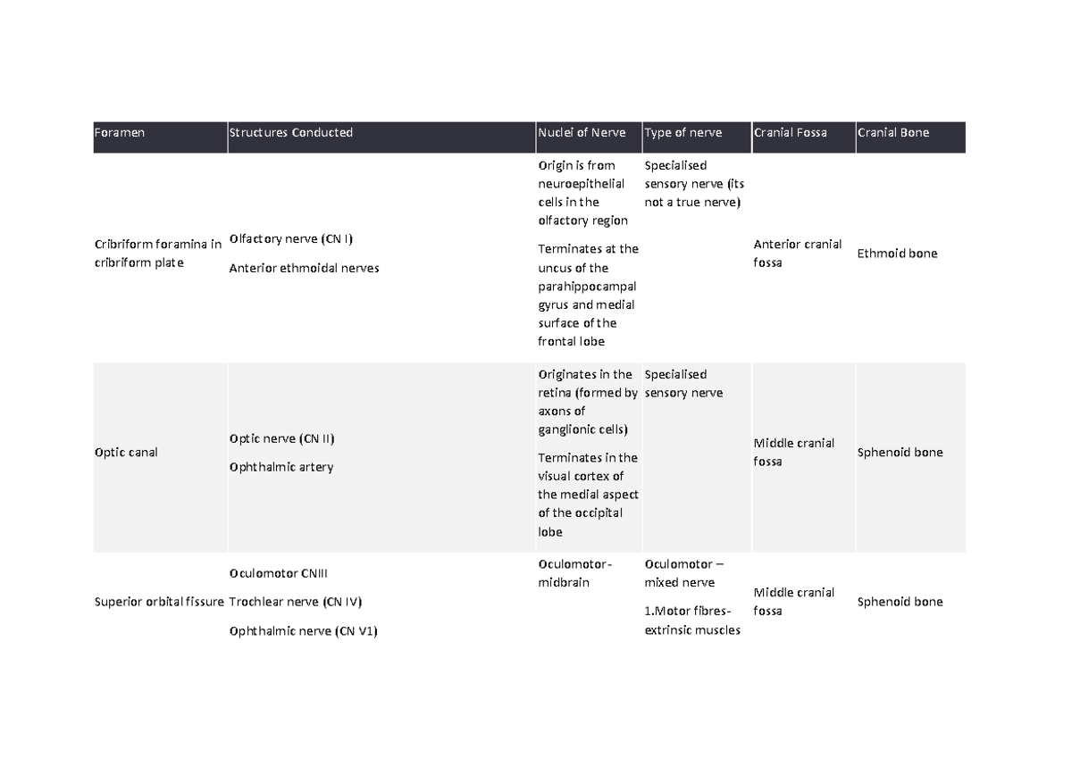 Cranial openings - Cribriform foramina in cribriform plate Olfactory ...