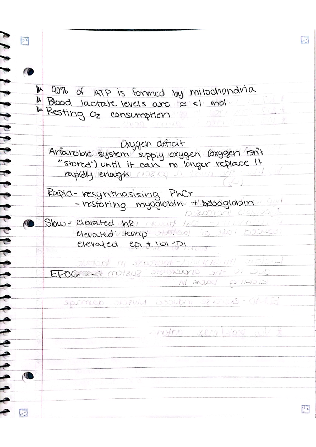 Chapter 4 Ex Phys - Professor Newmire- Class Notes - KINE 4312 - Studocu