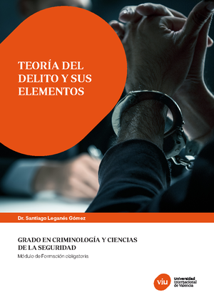 Esquema Estructura DE Delito - Prof. Dr. David Pavón Herradón ESQUEMA ...