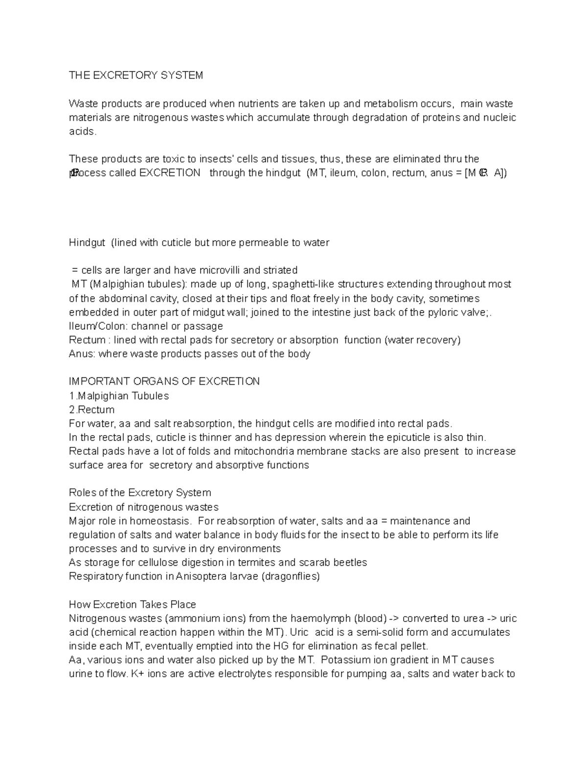 THE Excretory System - THE EXCRETORY SYSTEM Waste products are produced ...