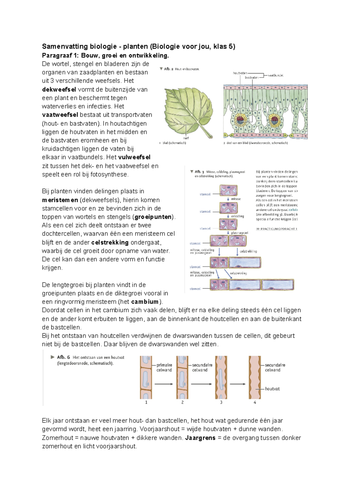 Samenvatting biologie - planten (Biologie voor jou, klas 5) - De wortel ...