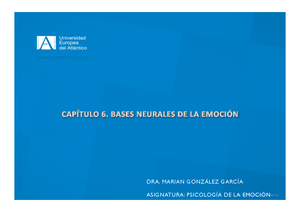Tema 6. Bases neurales de la emoción (profe) - © T ODOS LOS DERECHOS ...