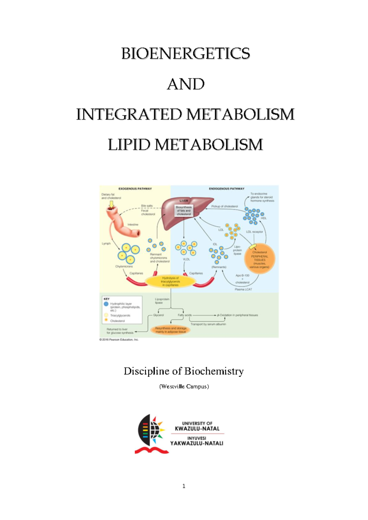 Lipids core notes (series 1) - Discipline of Biochemistry (Westville ...