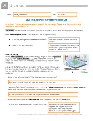 Photosynthesis Gizmo - Case Study - Photosynthesis - Saving the Coral ...