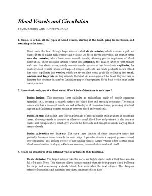 Chapter 11 Blood - CHAPTER 11: BLOOD REMEMBERING AND UNDERSTANDING ...