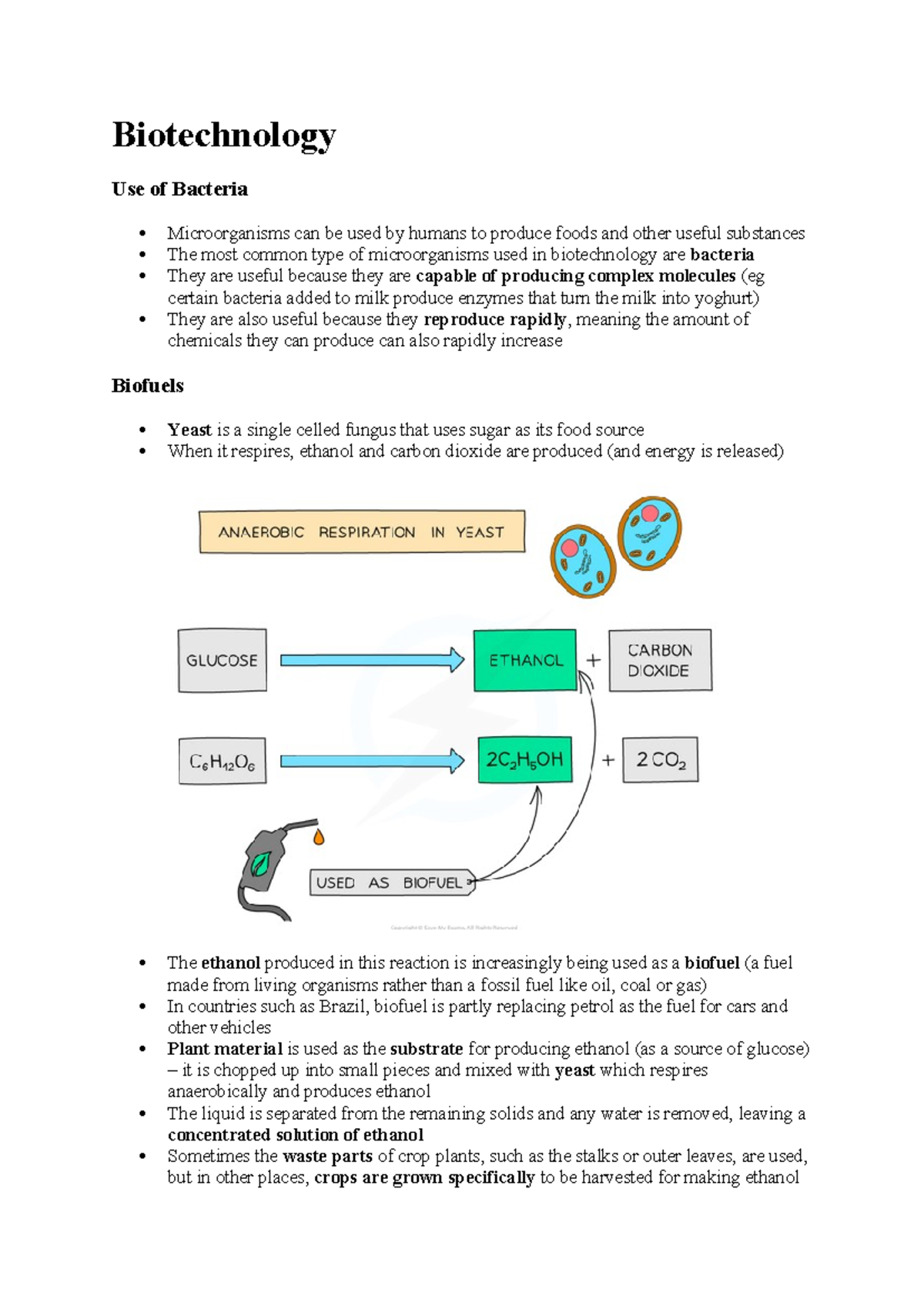 biotechnology notes 2024 biology 4a1 - Biotechnology Use of Bacteria ...