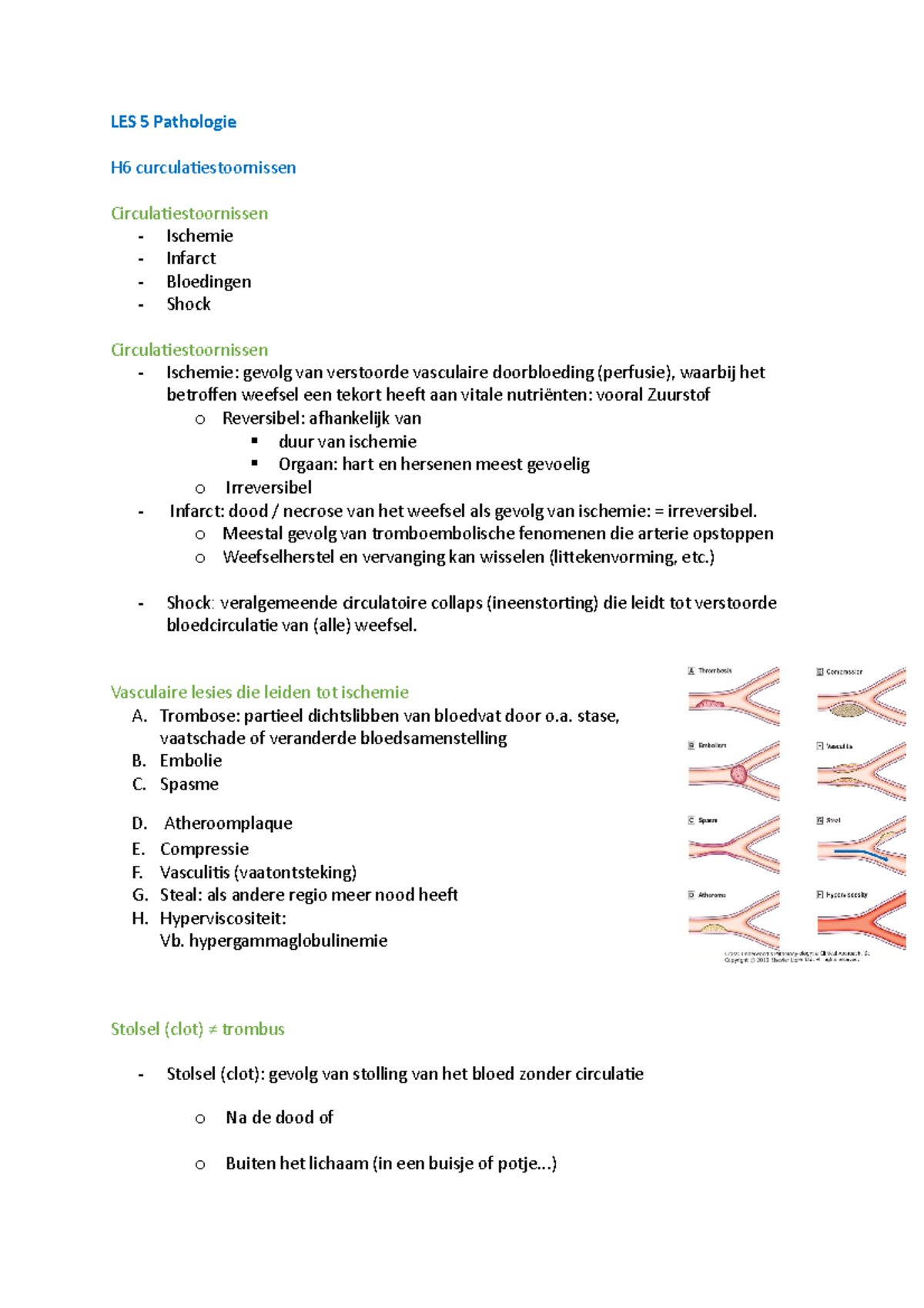 LES 5 Pathologie - /// - LES 5 Pathologie H6 curculatiestoornissen ...