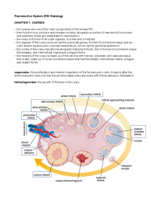 Histology of OBS & Gynae - Reproductive System (RS) Histology CHAPTER 1 ...