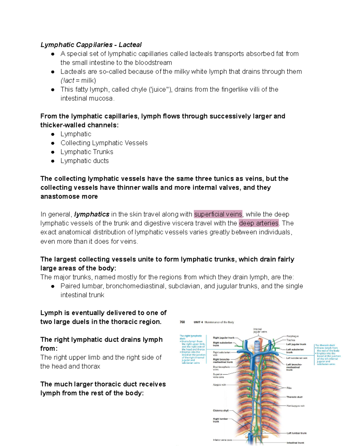 2 Lymphatic System Final Notes - Lymphatic Cappilaries - Lacteal A ...