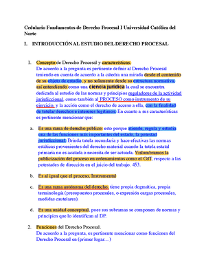 Cedulario examen - ucn - I. INTRODUCCIÓN AL ESTUDIO DEL DERECHO PROCESAL Concepto de Derecho ...