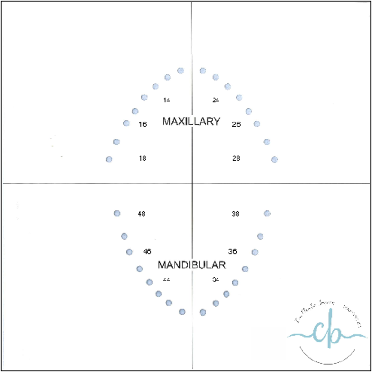 Plantilla dique de hule - Introduccion a la Operatoria Dental - Studocu