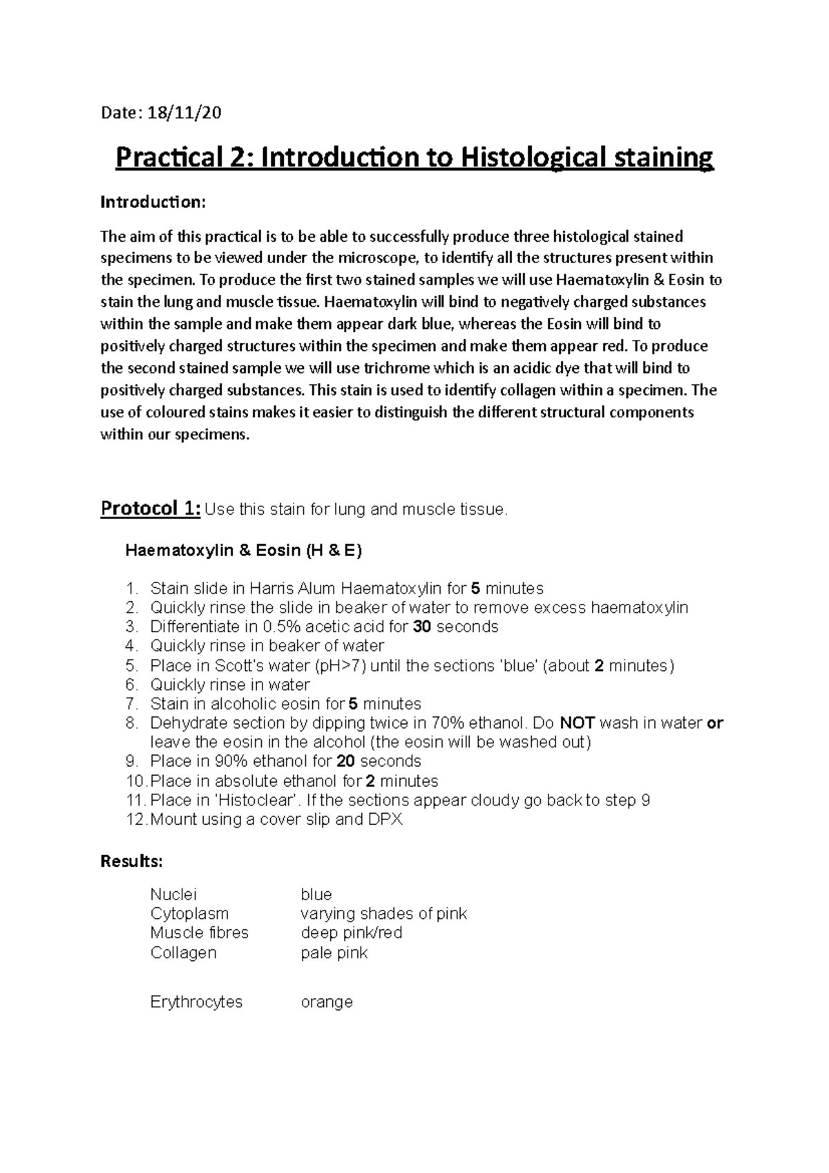Cellbio Practicle 2-histological staining- formative - Date: 18/11 ...