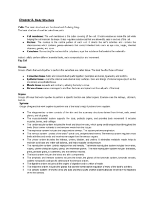 Medical TERM- CASE Study 2 - PLAZA COLLEGE AH155-MEDICAL TERMINOLOGY ...