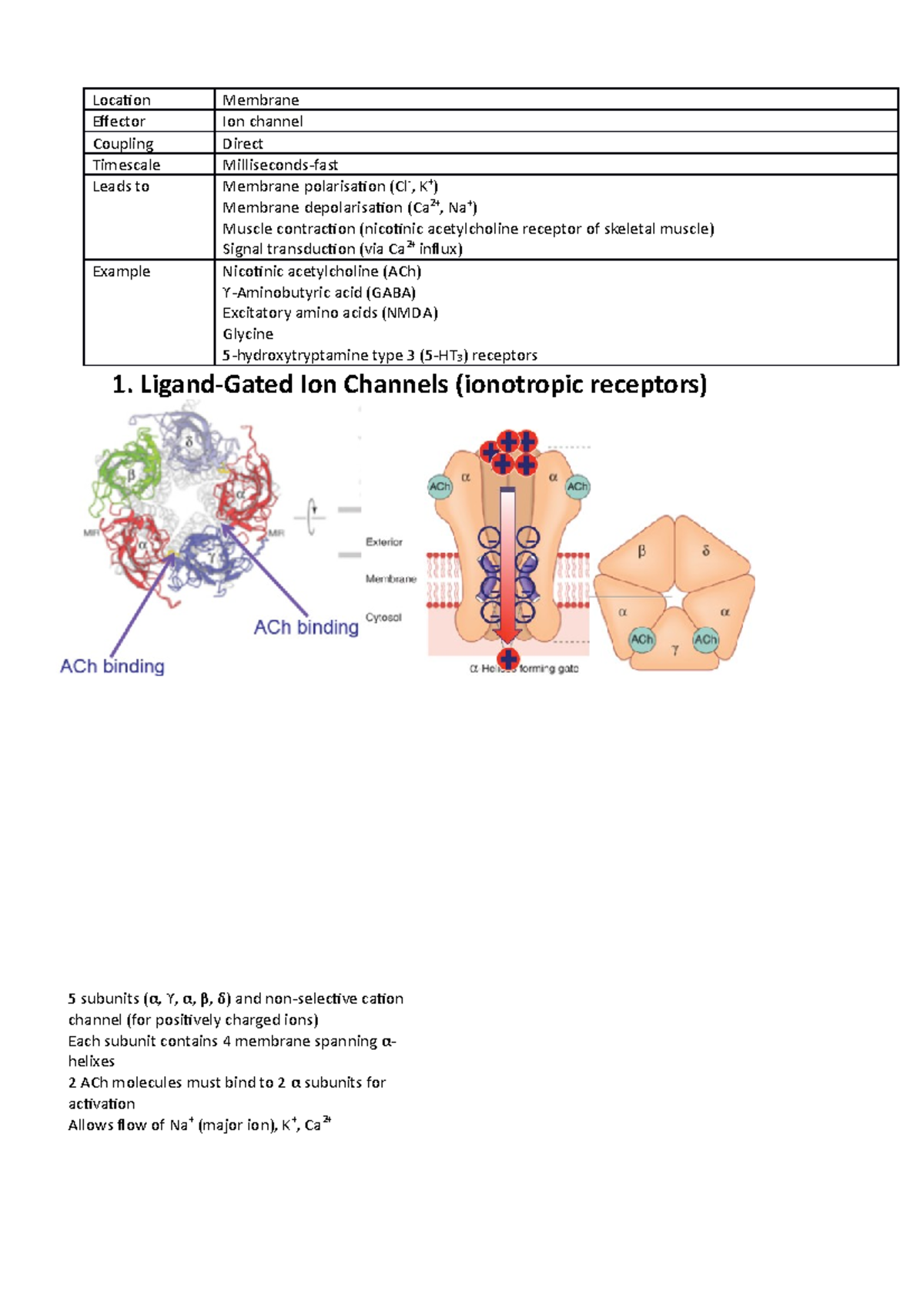 Transporter types - Location Effector Coupling Timescale Leads to ...