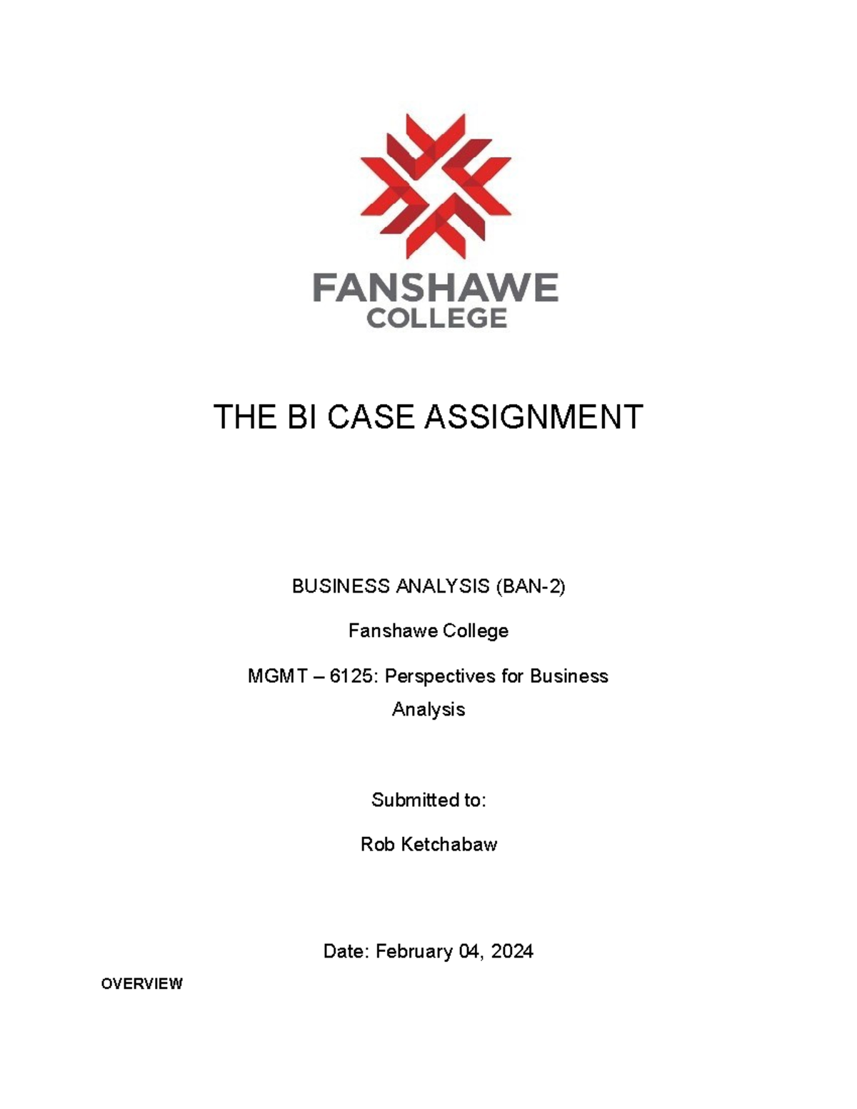MGMT - 6125 BI CASE Assignment - THE BI CASE ASSIGNMENT BUSINESS ...
