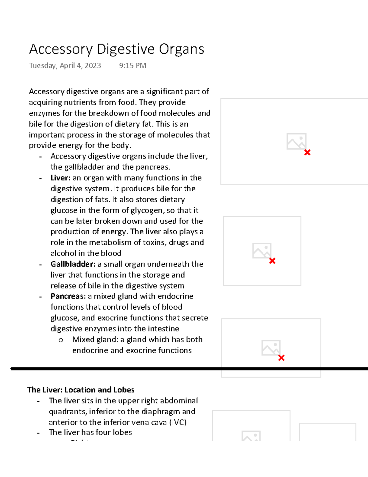 Accessory Digestive Organs - They provide enzymes for the breakdown of ...