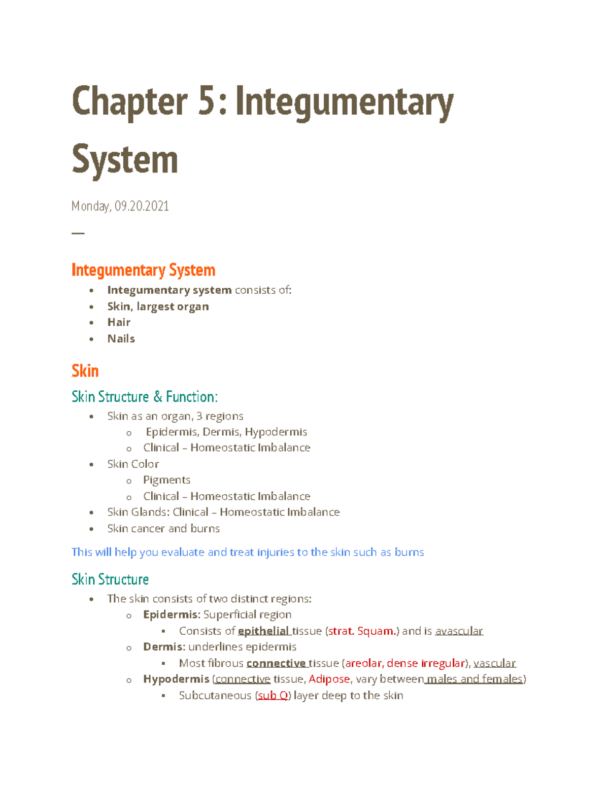 Chapter 5: The Integumentary System - Chapter 5: Integumentary System ...