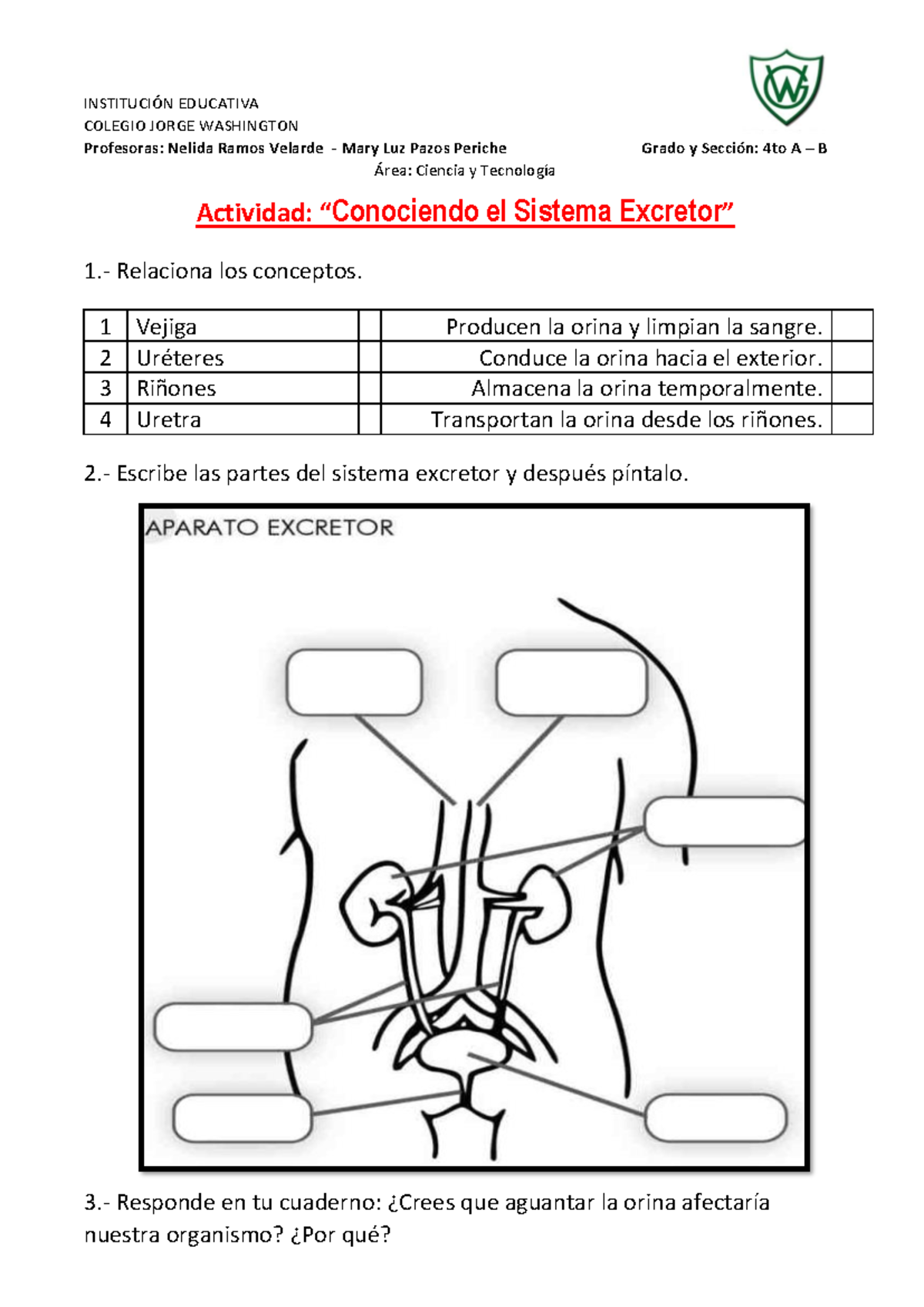 Actividad 6 - Conociendo el Sistema Excretor - INSTITUCIÓN EDUCATIVA ...