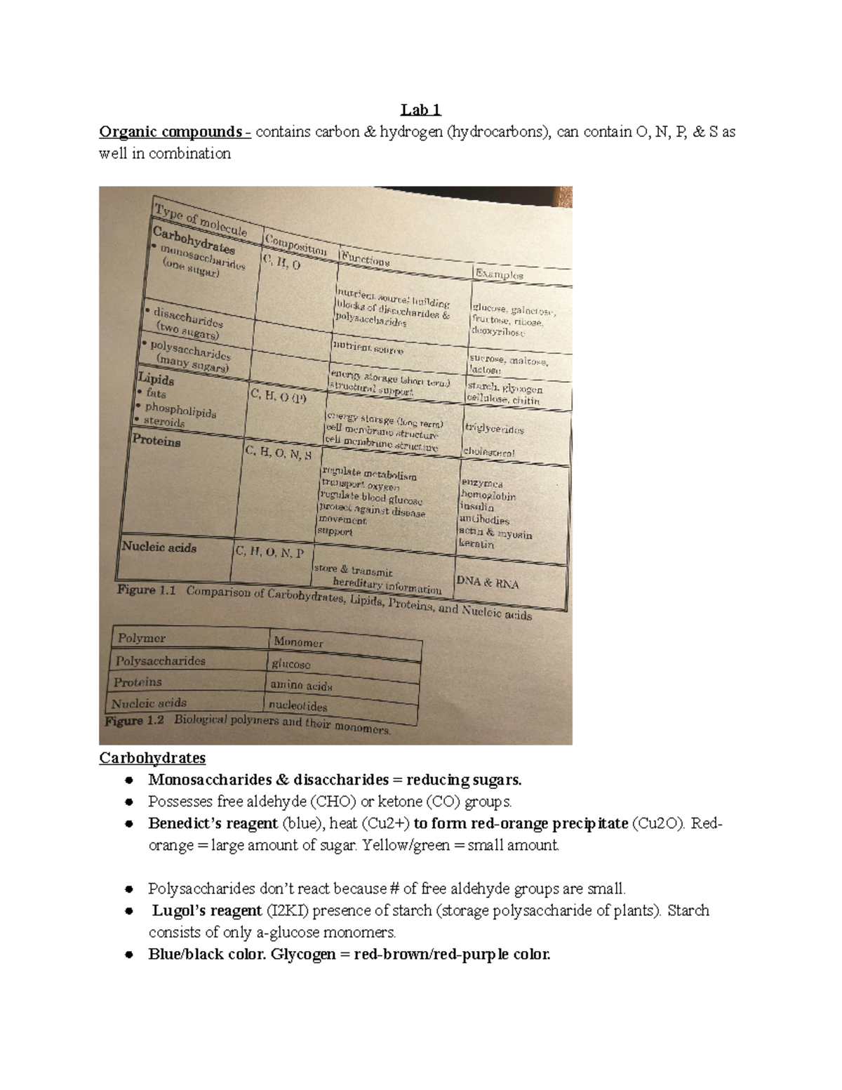 Bio Lab Study Guide 1 - Lab 1 Organic compounds - contains carbon ...