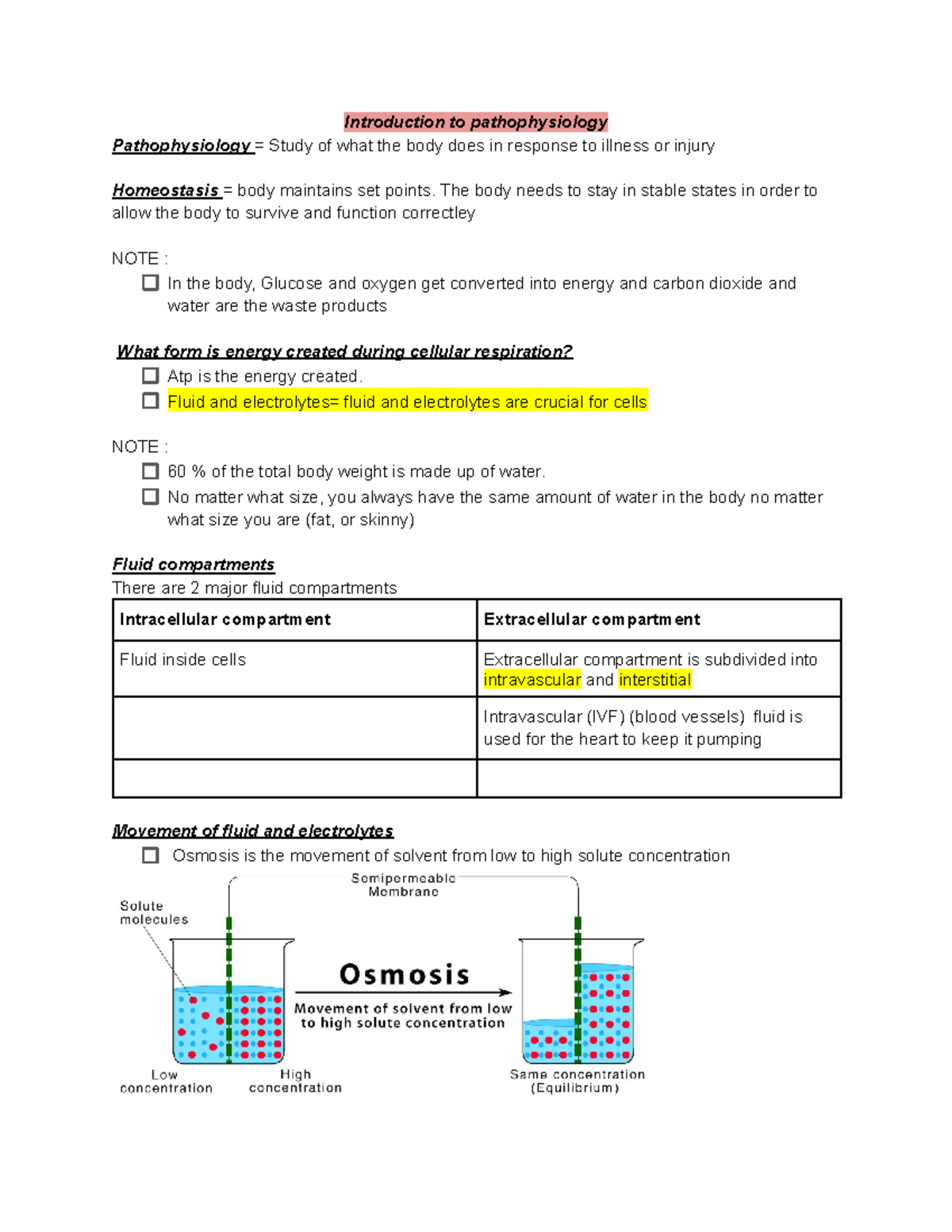 Introduction to pathophysiology - Introduction to pathophysiology ...