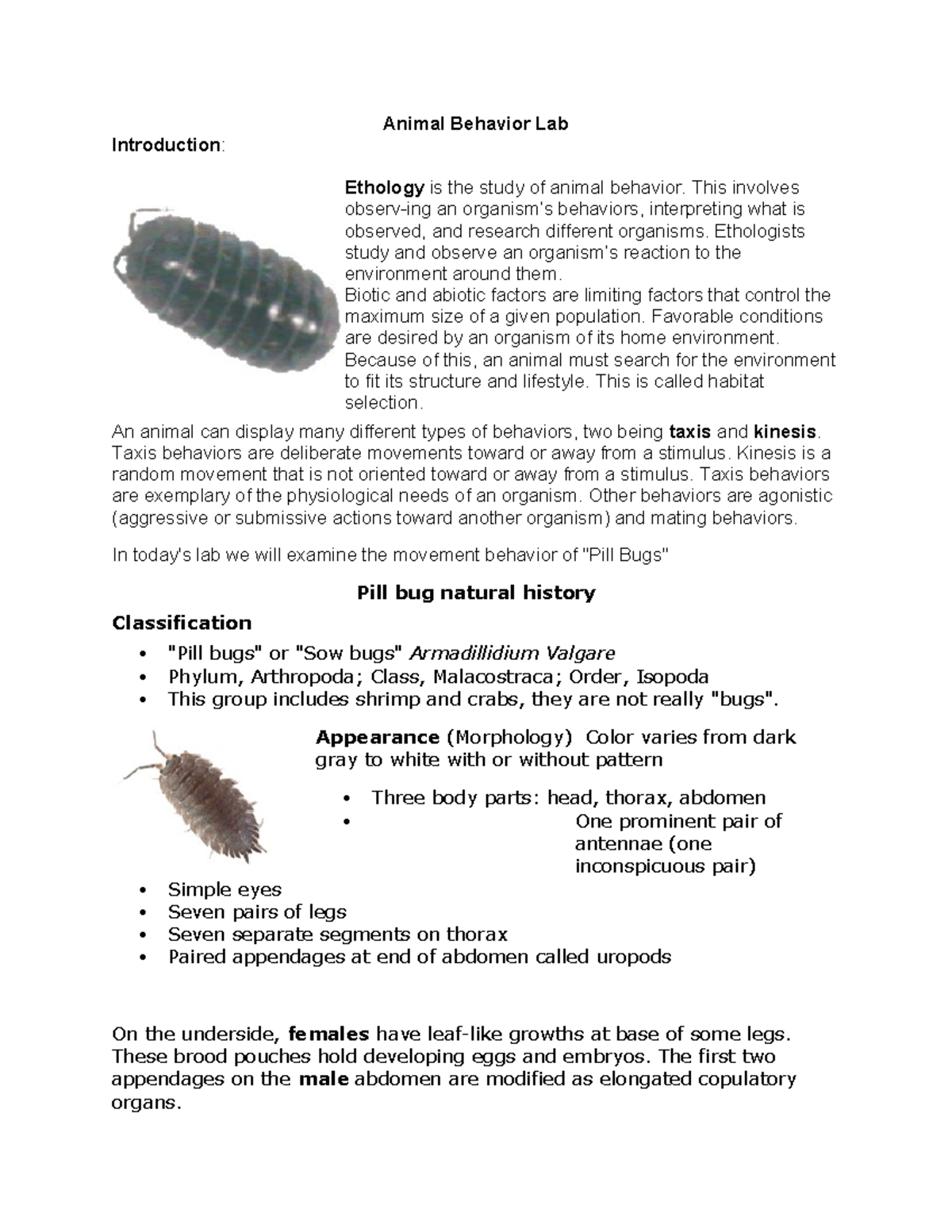 Pill Bug Behavior Lab - Animal Behavior Lab Introduction: Ethology is ...