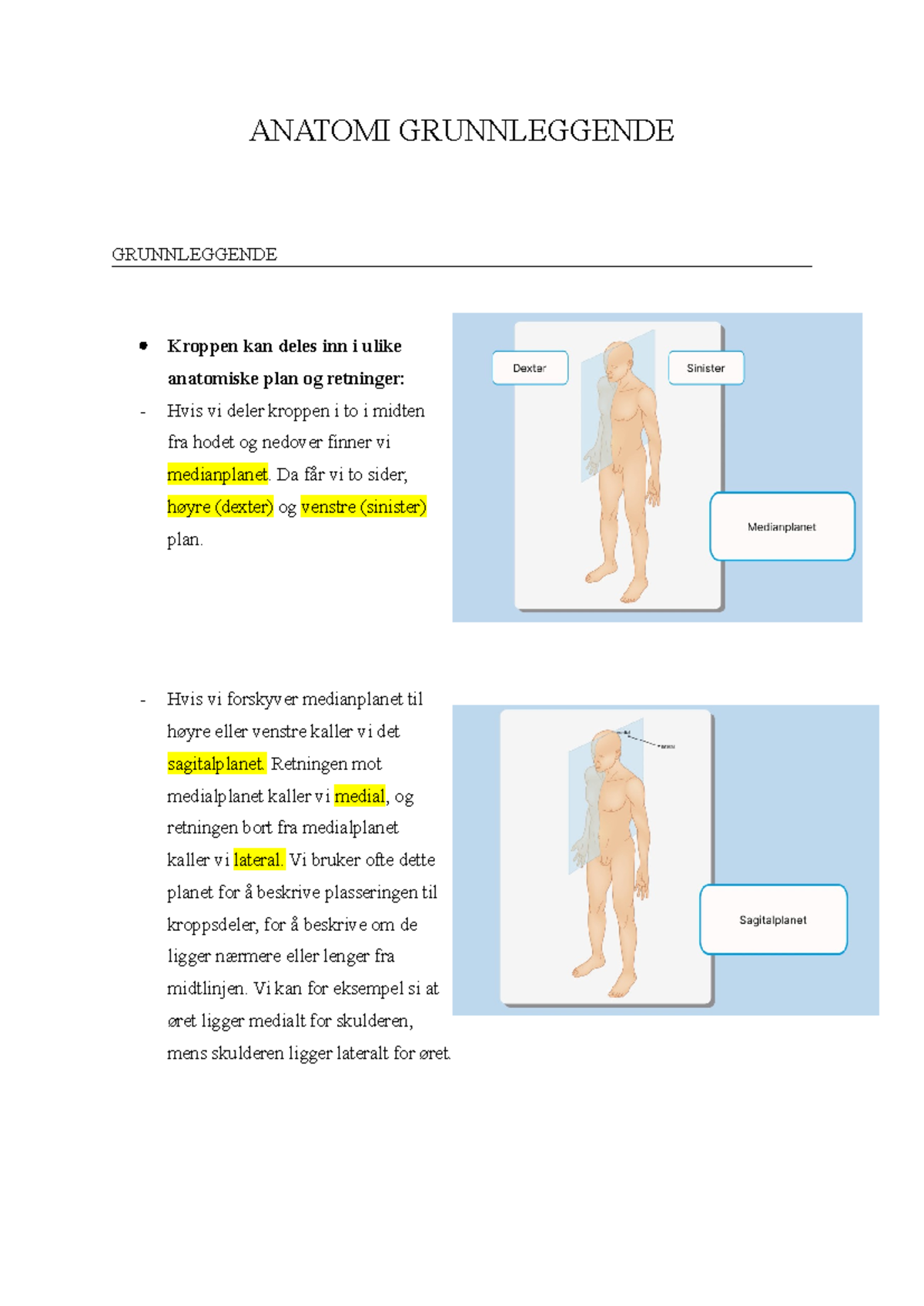 Anatomi - ANATOMI GRUNNLEGGENDE GRUNNLEGGENDE Kroppen kan deles inn i ...