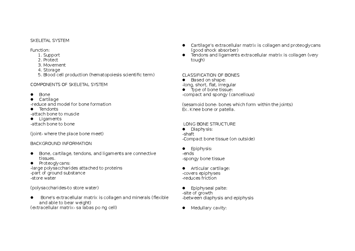 Skeletal System - student - SKELETAL SYSTEM Function: 1. Support 2 ...