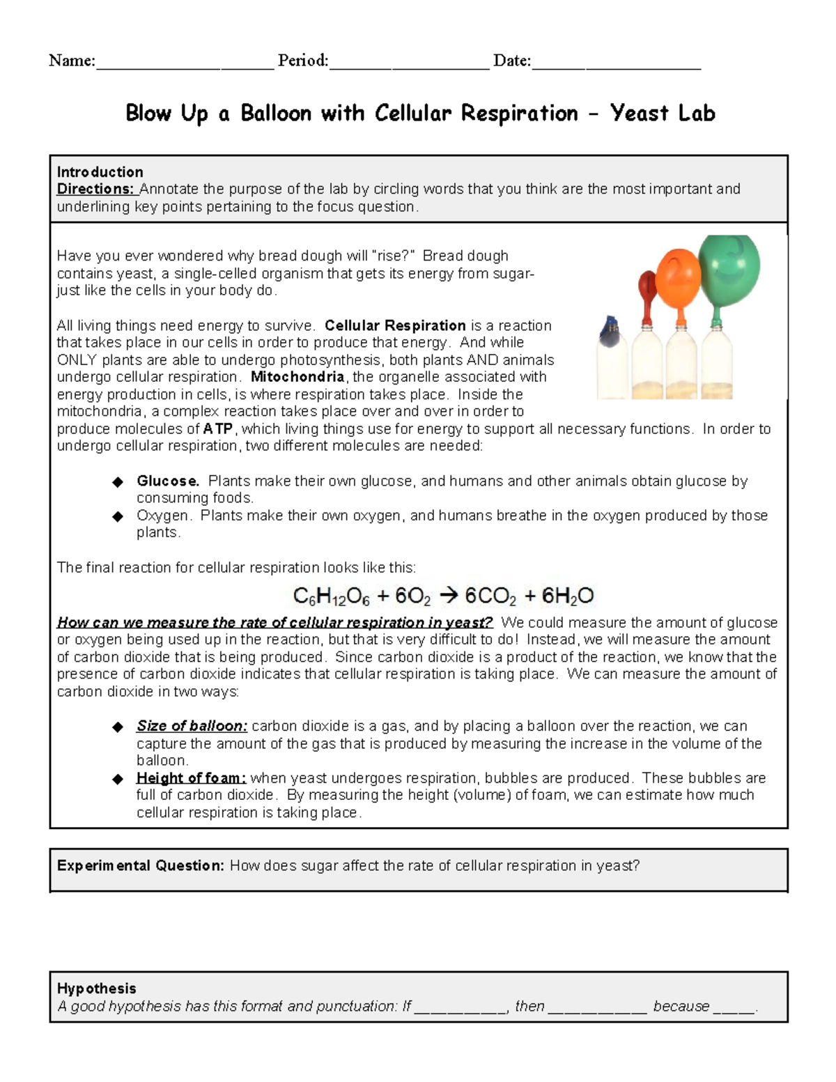 Cellular Respiration in Yeast Lab Handout - Name ...