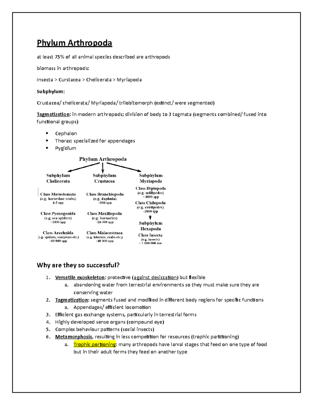 Test 2 - bio2030- arthropods, Echinodermata, chordates, vertebrates ...