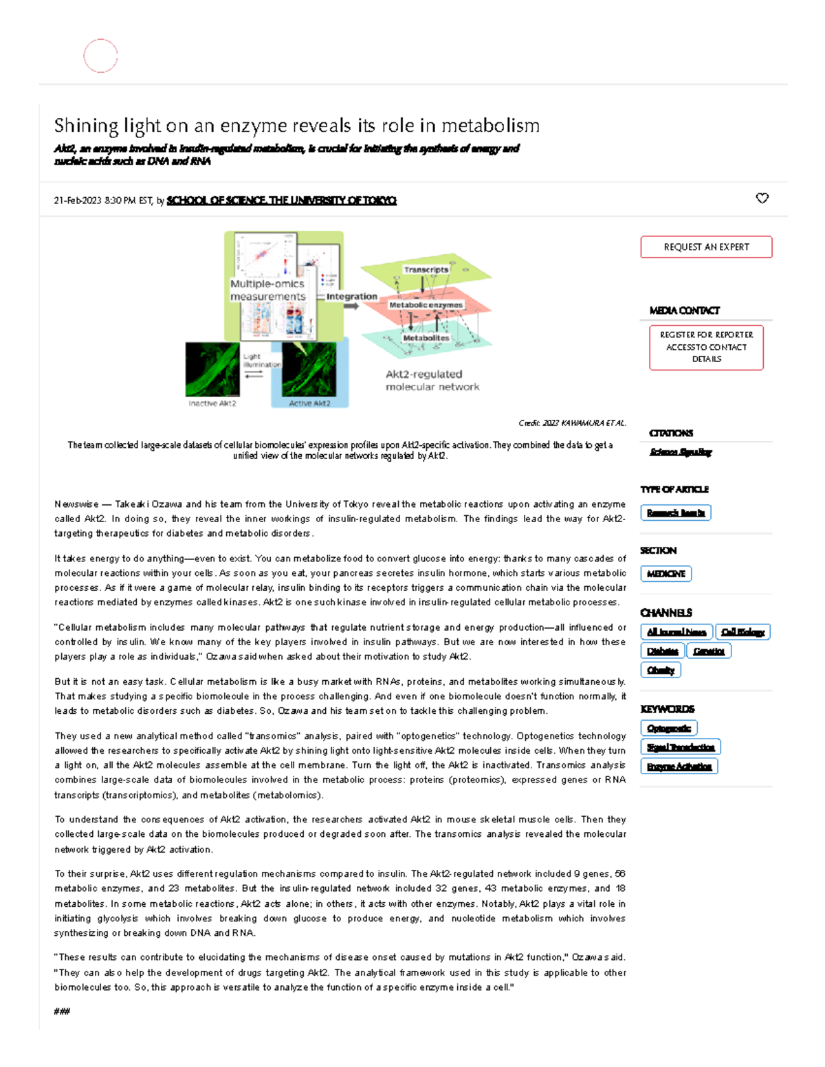 Shining light on an enzyme reveals its role in metabolism - In doing so ...