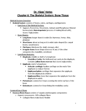 Lab 7 Integumentary System Lab Activity - Name: Madeline Solliday ...