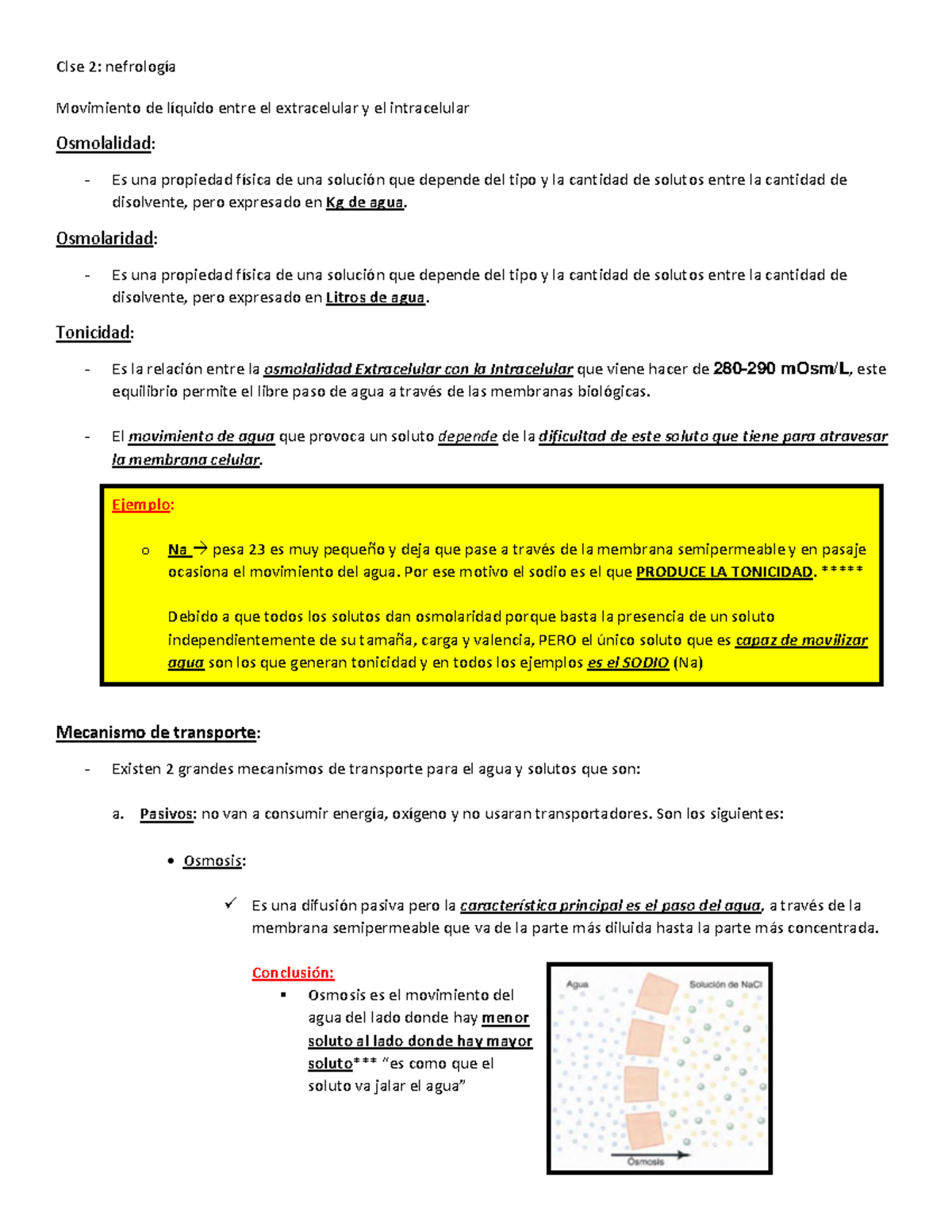Clase 2 renal - Resumen Nefrología - Warning: TT: undefined function: 32 Warning: TT: undefined ...