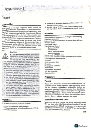 Group 1: lecture notes - Aspergillus species Uniseriate/Biseriate Shape ...